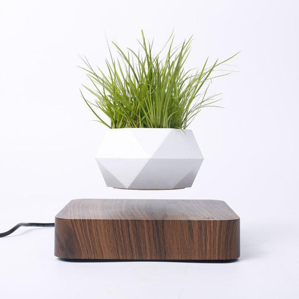 Levitating Planter Pot - DIVERSITY